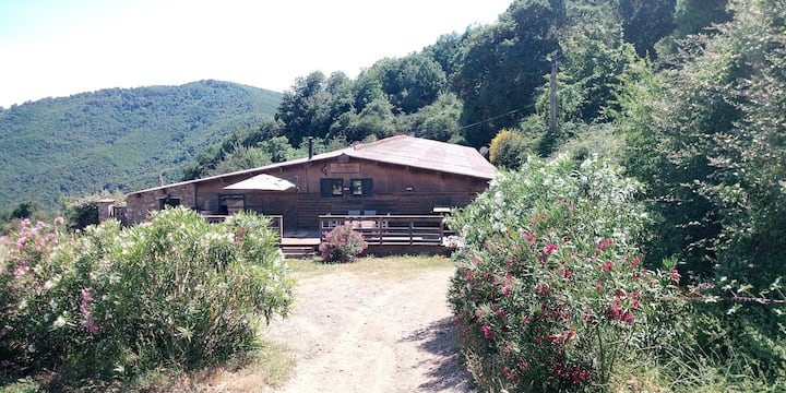 La Ferme Du Maquis - Corse