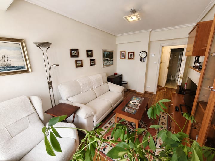 Familiar Apartment In The City Center - Solares