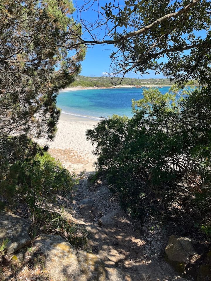 Maison Luxe Plage Hot Spot Corsica -Fin De Travaux - Plage de Roccapina