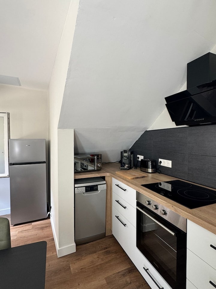 Magnifique Appartement Mairie - Agen