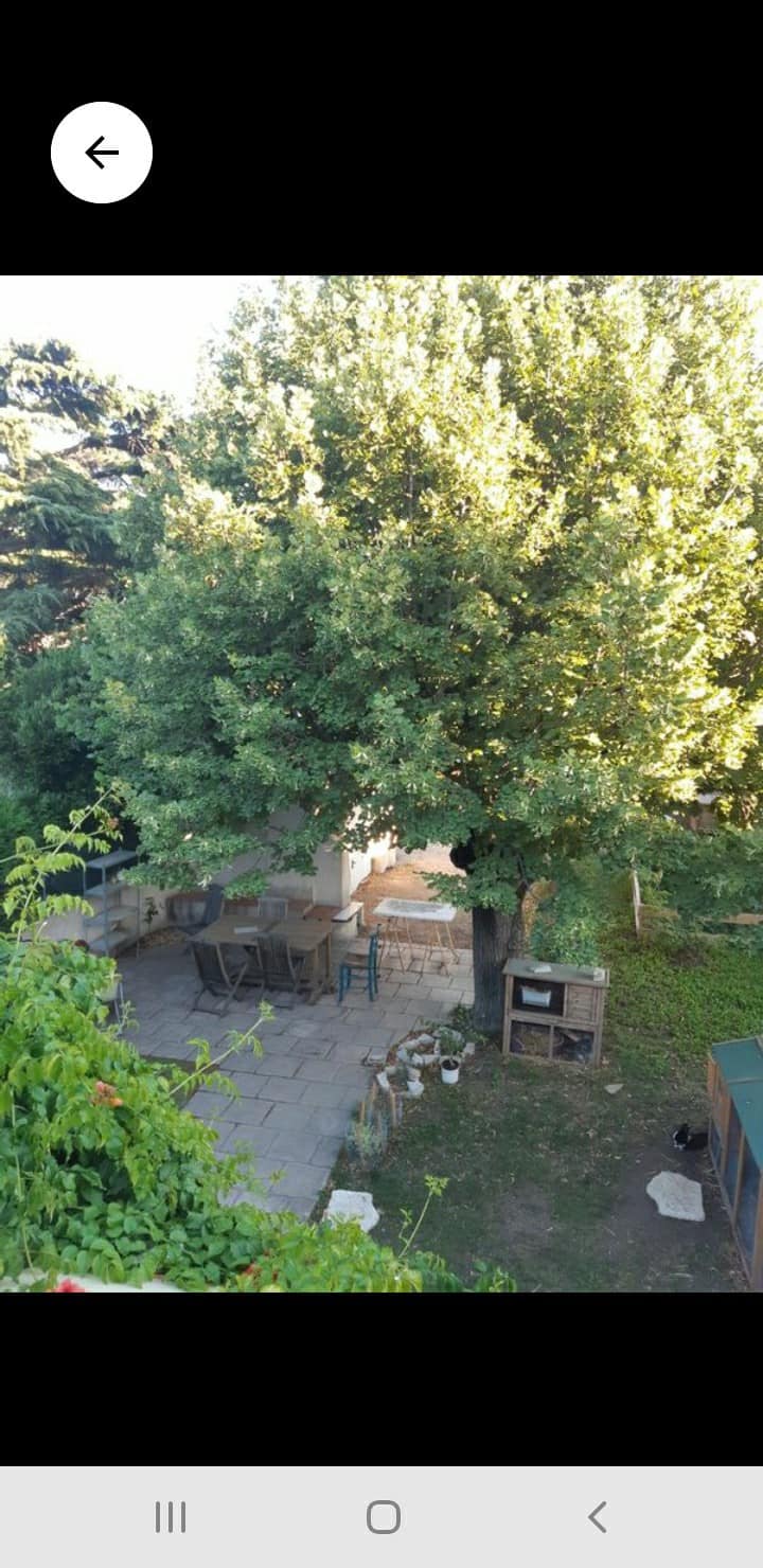 Maison Avec Jardin - Vaucluse