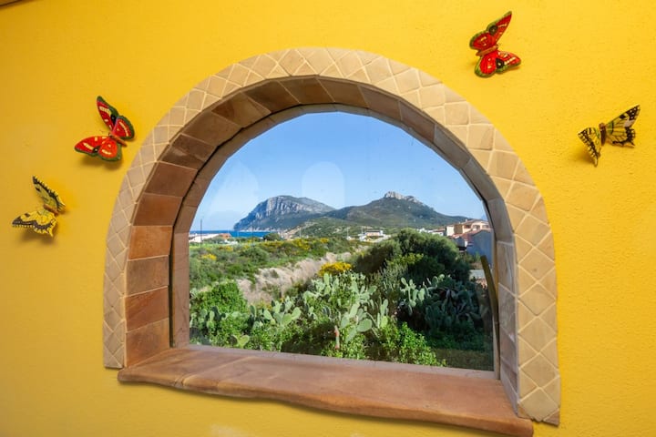 Enchanting Seaview,2 Bedroom Flat,5 Mins Frm Beach - Golfo Aranci