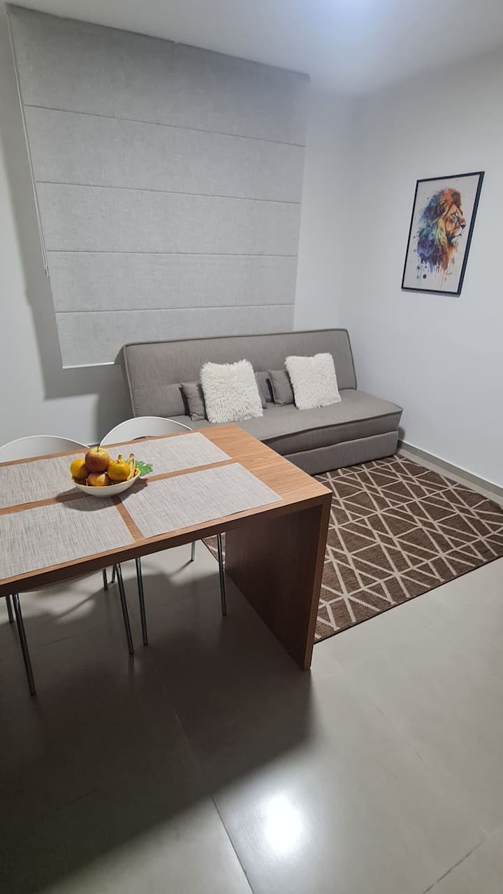 Recém Reformado, Próximo A Hospitais E Consulado. - Assis