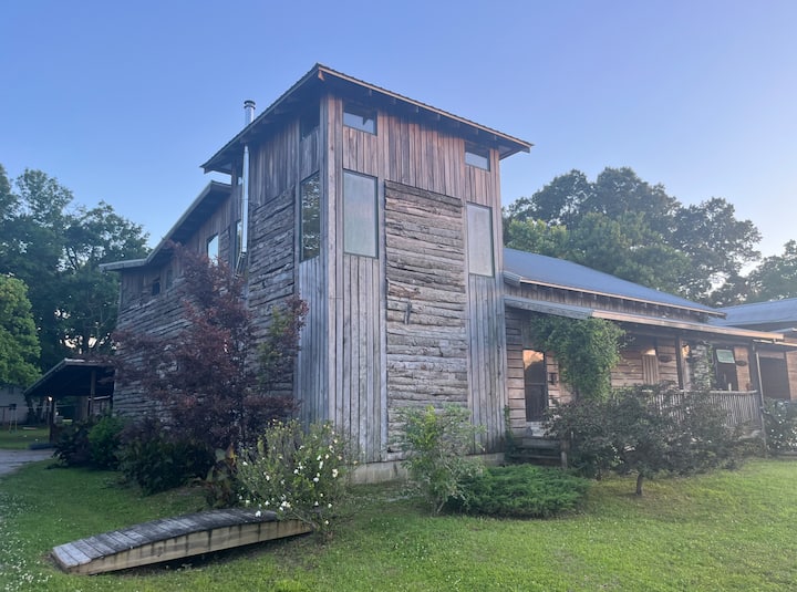 The Tree House - Tuscaloosa, AL