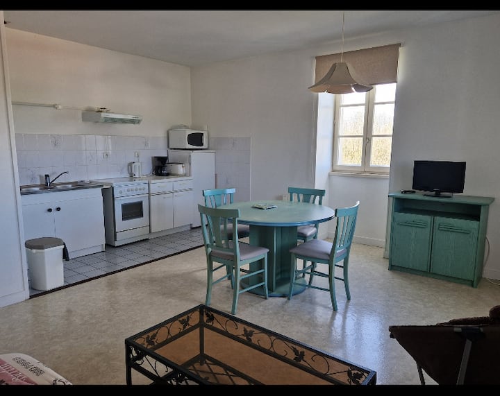 Appartement Spacieux Dans Résidence Historique - Rochefort, France