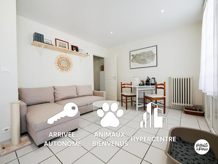Le Bengal : T2, Confort, Hypercentre, Pet-friendly - Tours