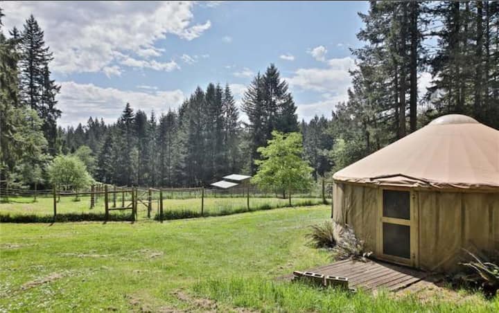 The Hollow: Heritage Yurt Escape | South Whidbey - Whidbey Island, WA