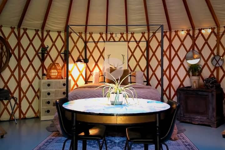 The Hollow: Forest Yurt Stay & Mini-alpaca Retreat - Whidbey Island