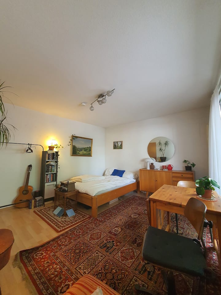 Charming, Cozy, Central Flat - Mainz