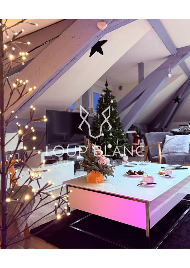 Classé 3 éToiles-spacieux- Proche Techn’hom-centre - Belfort