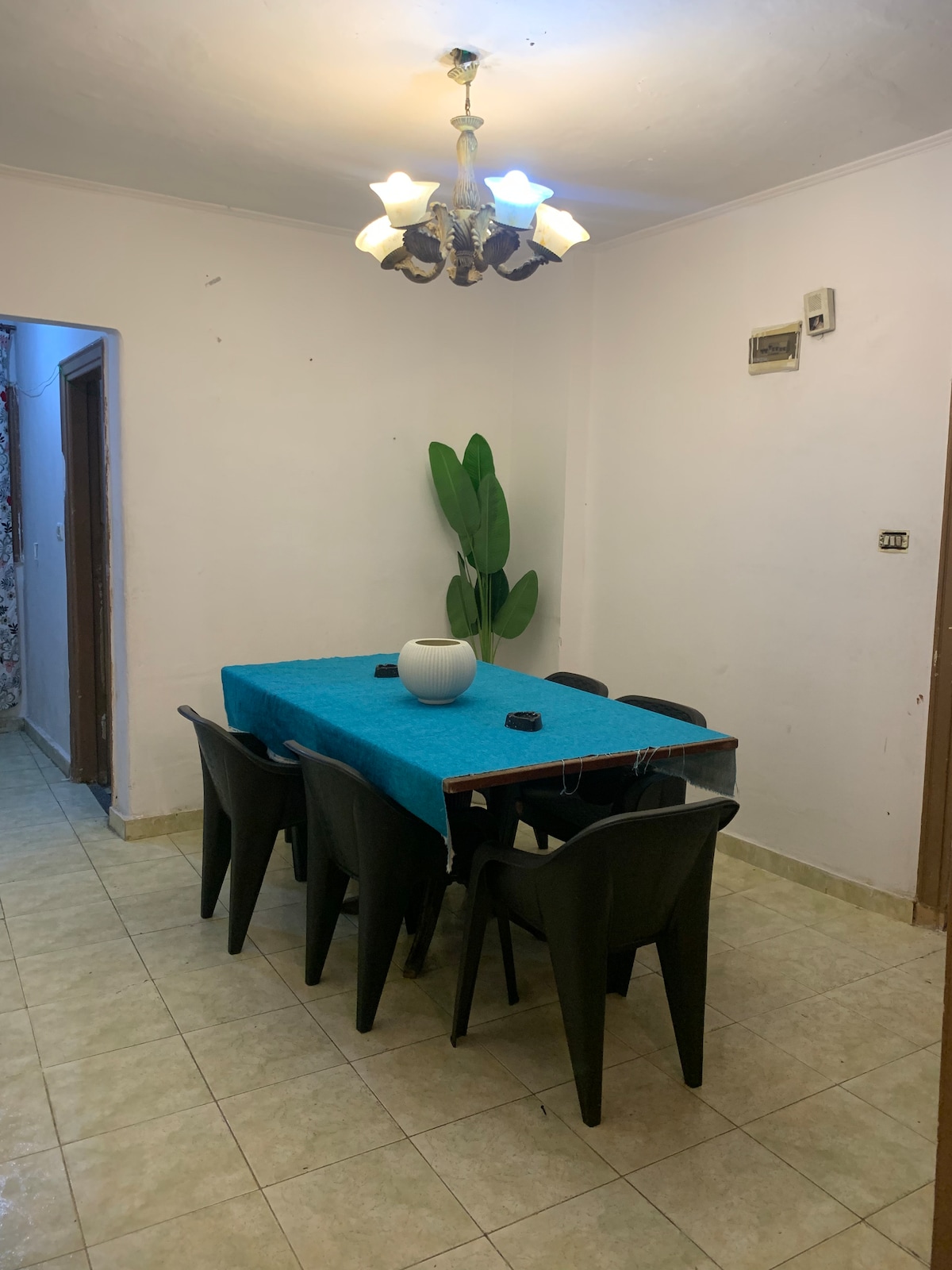 Alexandrie 2 Miami - Appartements à louer à Sidi Beshr Bahri ...