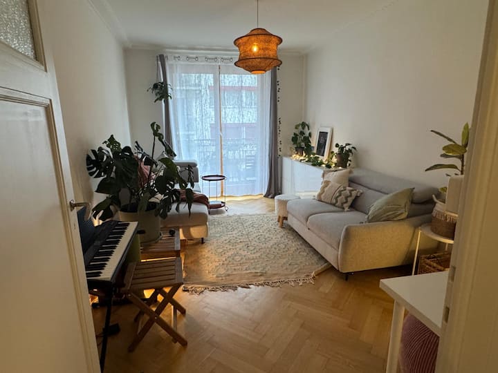 Appart Cosy Au Cœur De La Ville - Ginebra
