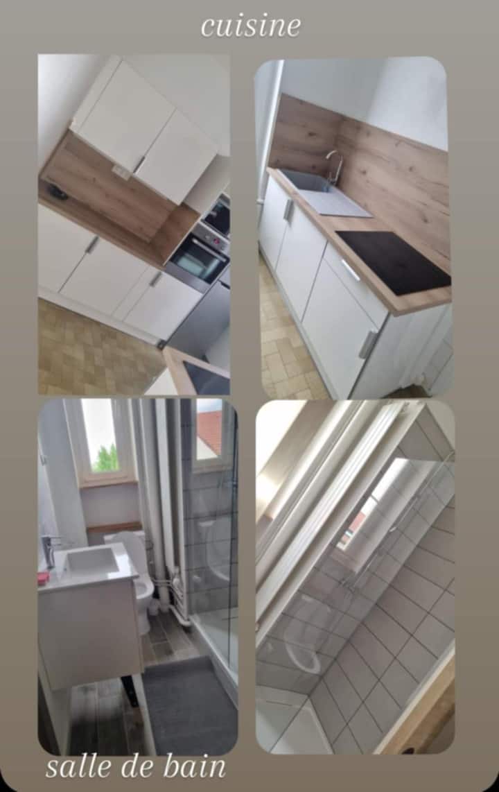 Appartement T5 Rénové En Ville - Dijon