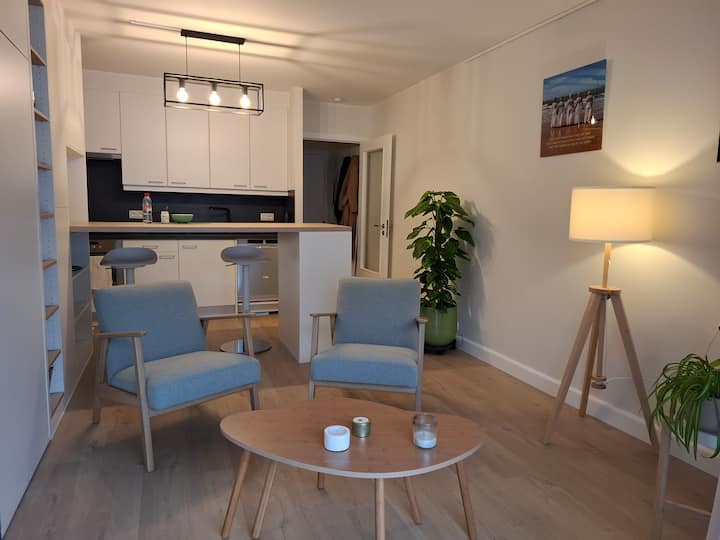 Studio Nieuwpoort Met Alle Comfort - Nieuwpoort