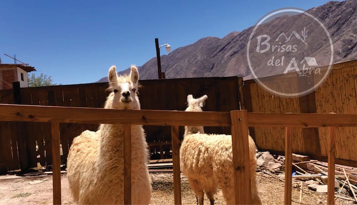 Cabañas Brisas Del Abra - Provincia de Jujuy