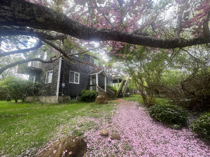 Sublime Montauk Tranquility - Montauk, NY