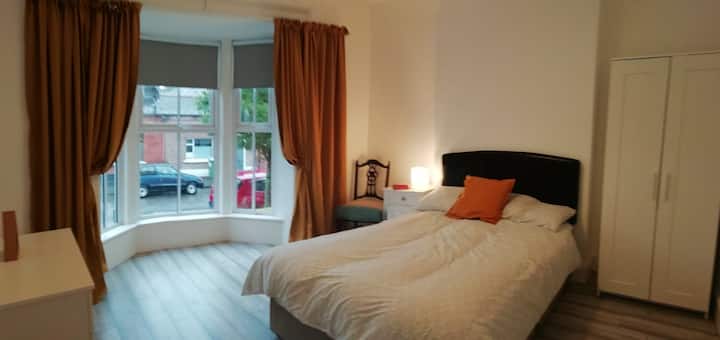 Dublin City Centre Stopover - 더블린