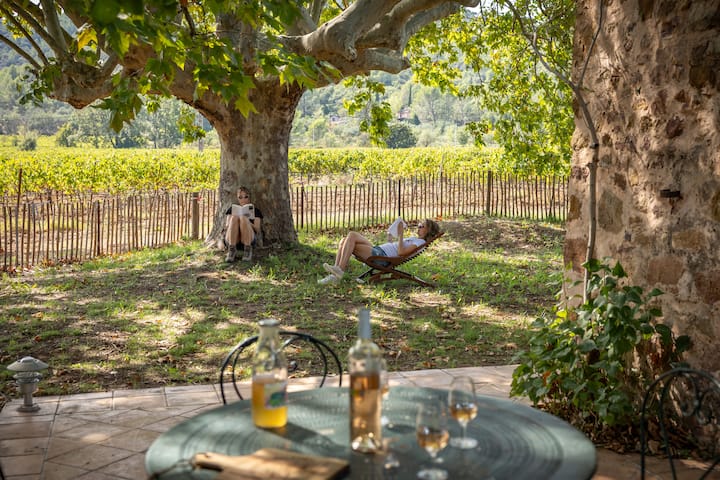 Le Platane Du Vigneron - La Crau