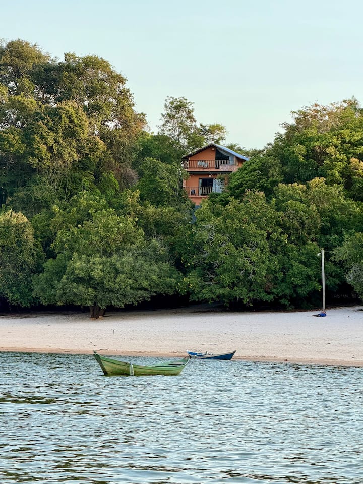 Vila Da Mata - Bicho Preguiça - Pará