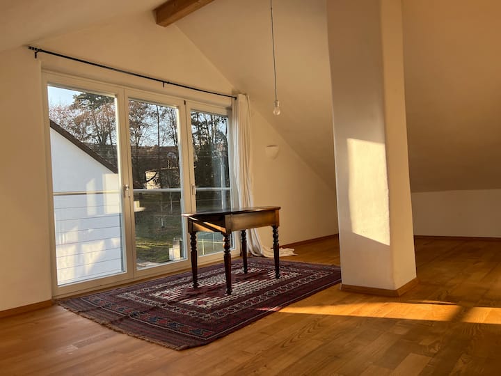Cozy Sunny Rooms Under The Roof - Ulm