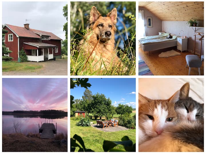 ”Tolv Tassar & Ett Sjönära Hus” - Idyll I Sörmland - Suecia