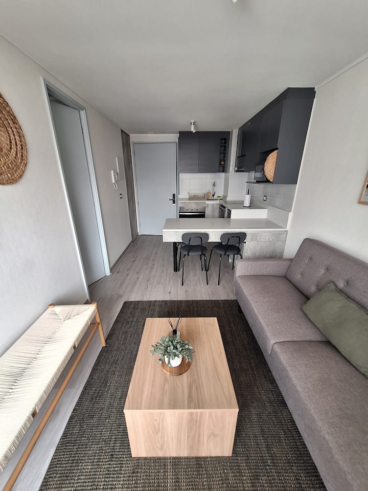 Arriendo Depto. Completo - Santiago (Chile)