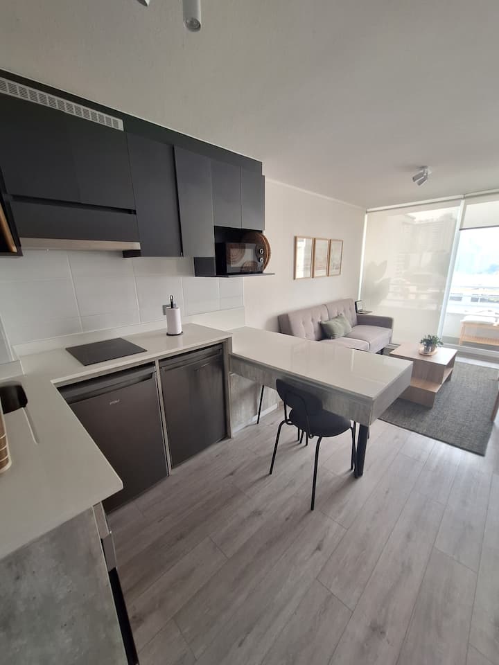 Arriendo Depto. Completo - Santiago