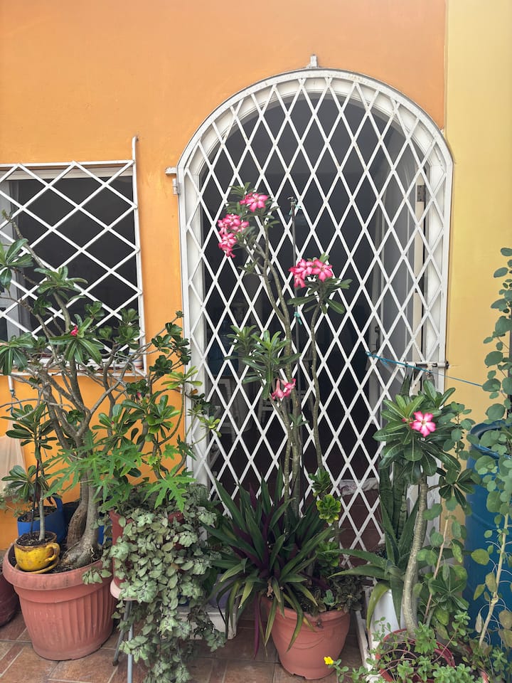 Casa Familiar - Minatitlán