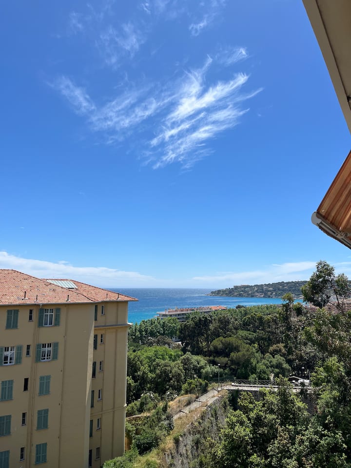 Appartement 3p Rénové à Menton - Menton