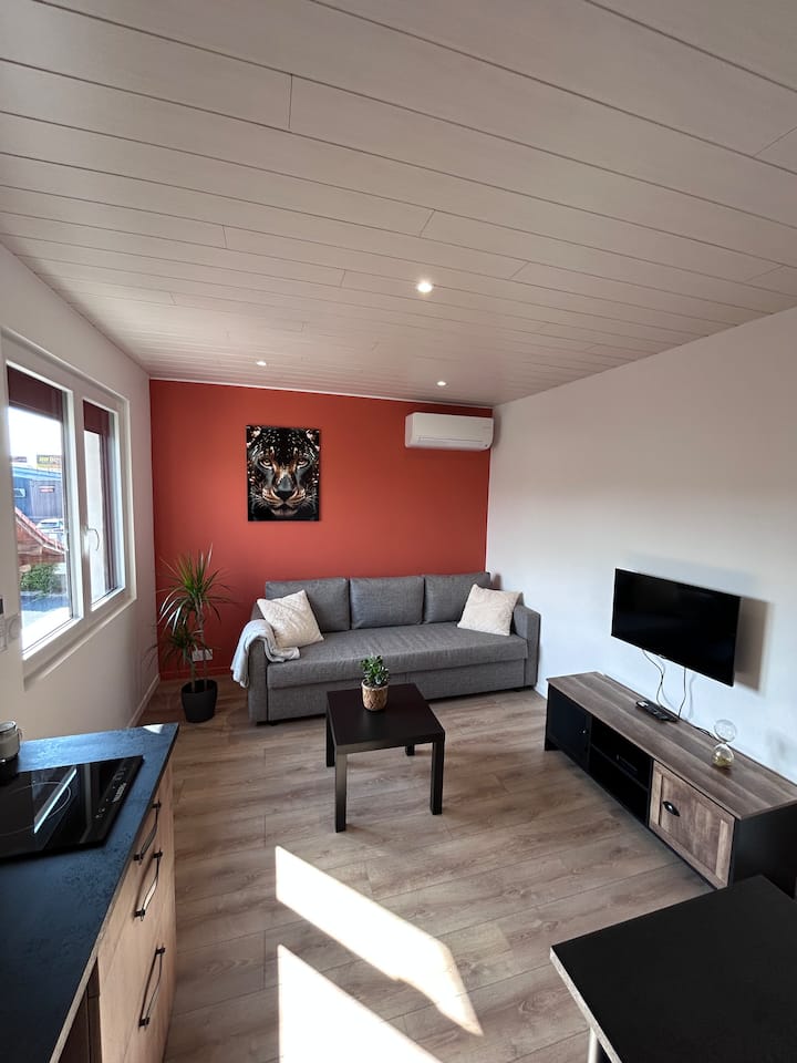 Appartement Proche Zénith A75 "Mizo" - Clermont-Ferrand