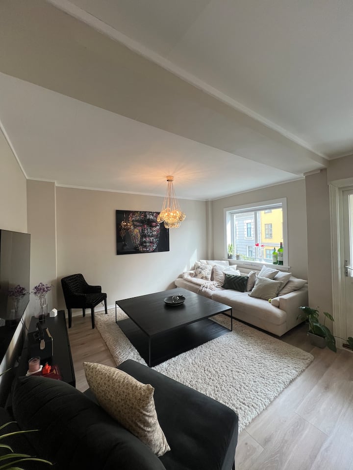 Central Spacious Apartment With Sunny Balcony - Oslo