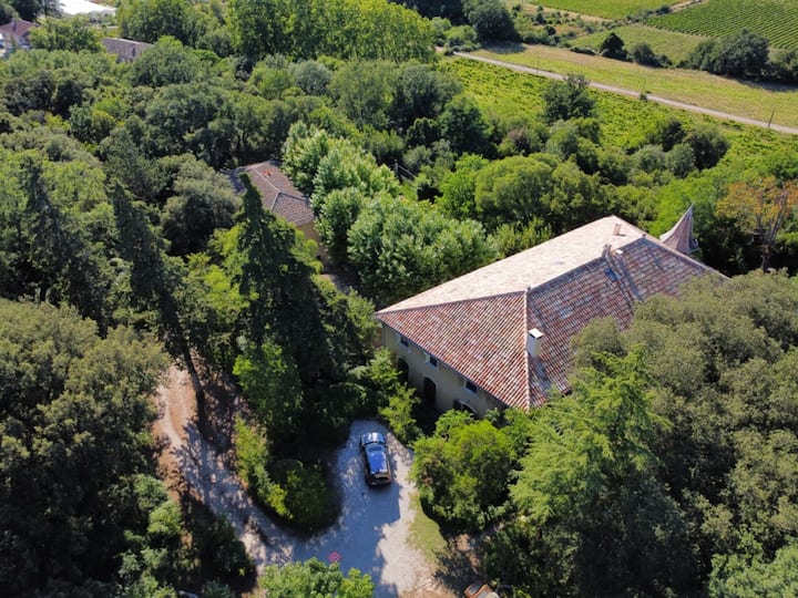 Domaine Daulone Plein Sud - Vaison-la-Romaine