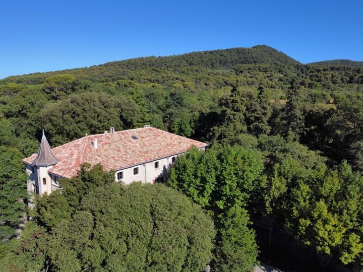 Château Daulone - Vaucluse