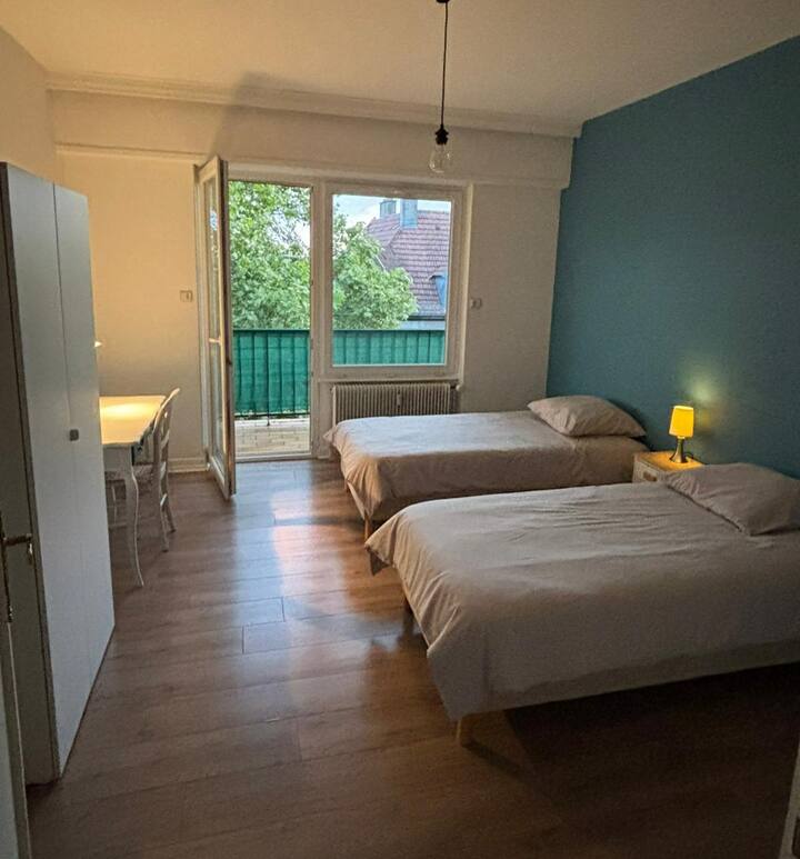 Top ! Spacieuse Lumineuse Confortable Avec Balcon - Mulhouse