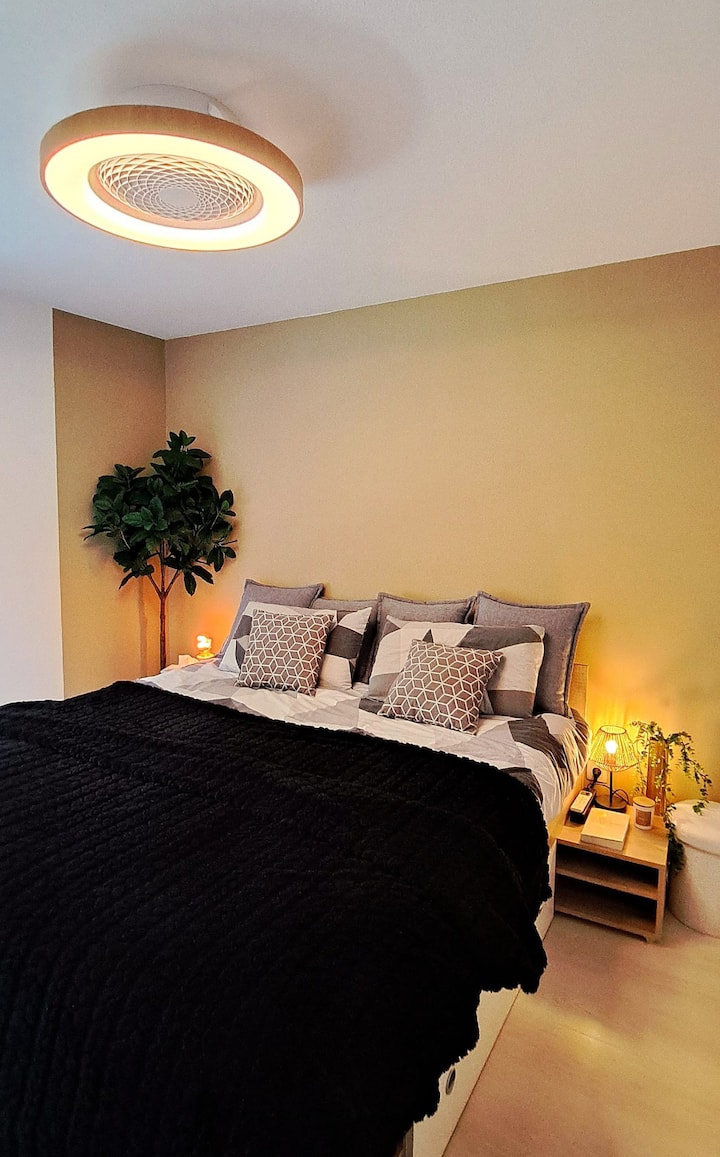 Appartement Toulouse Avec Jardin - Toulouse