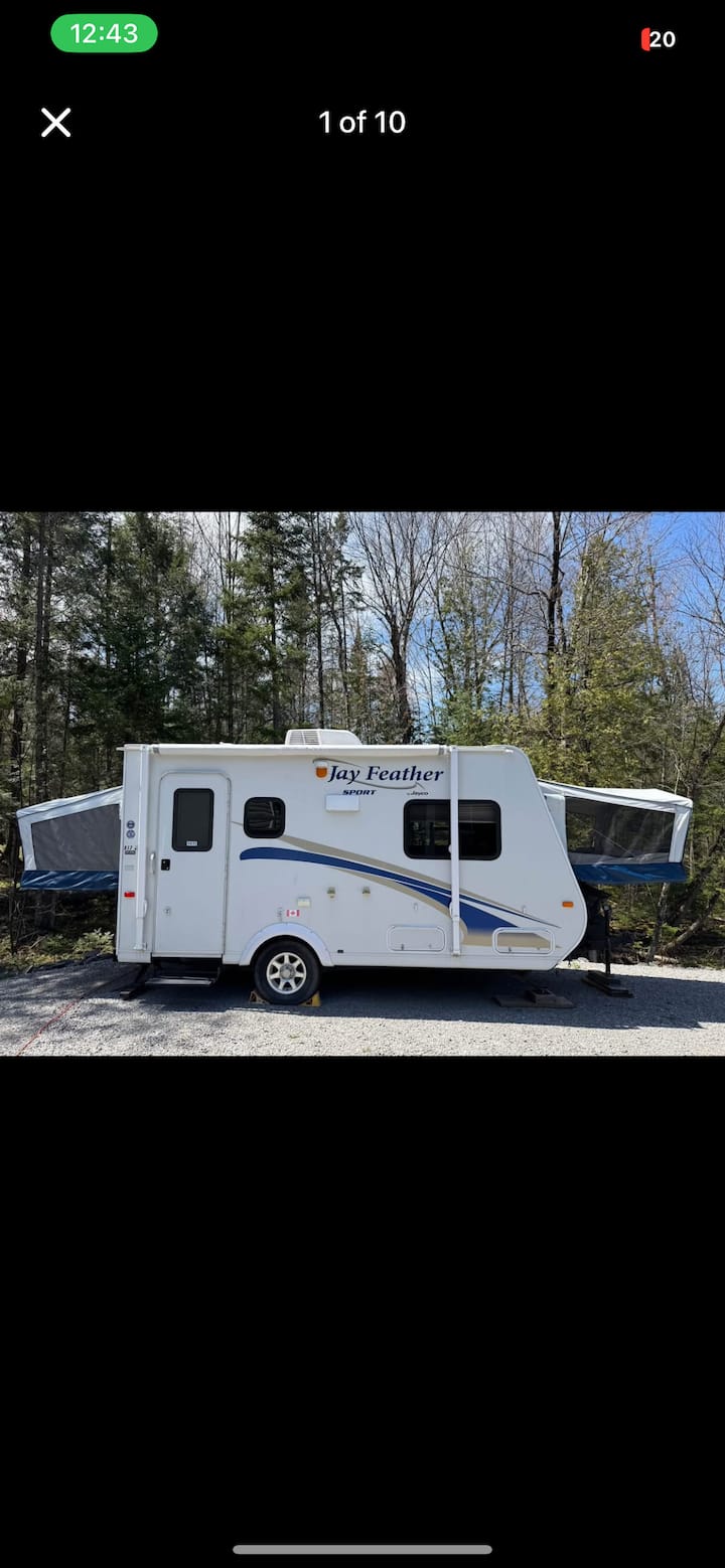 Camping Fun - Pembroke