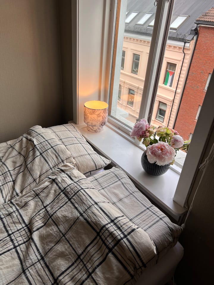 Big Room In A Nice Apartment - 오슬로