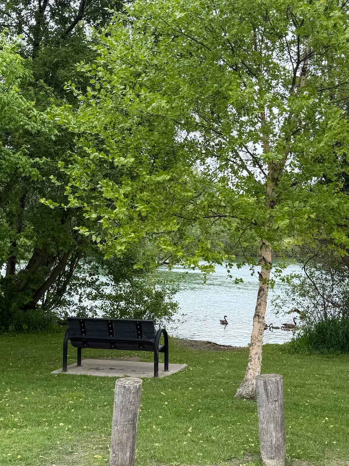 Relax By The Water, Play In Niagara Falls! - Niagara Falls
