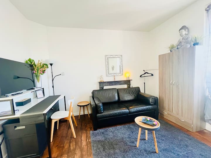 T1 Cosy Bien éQuipé, Centre Ville D'angers @Vayny - Beaucouzé