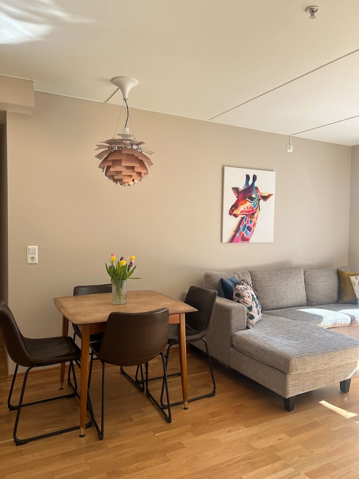 Spacious Super Central For 6 Guest Near Oslo S - Oslo