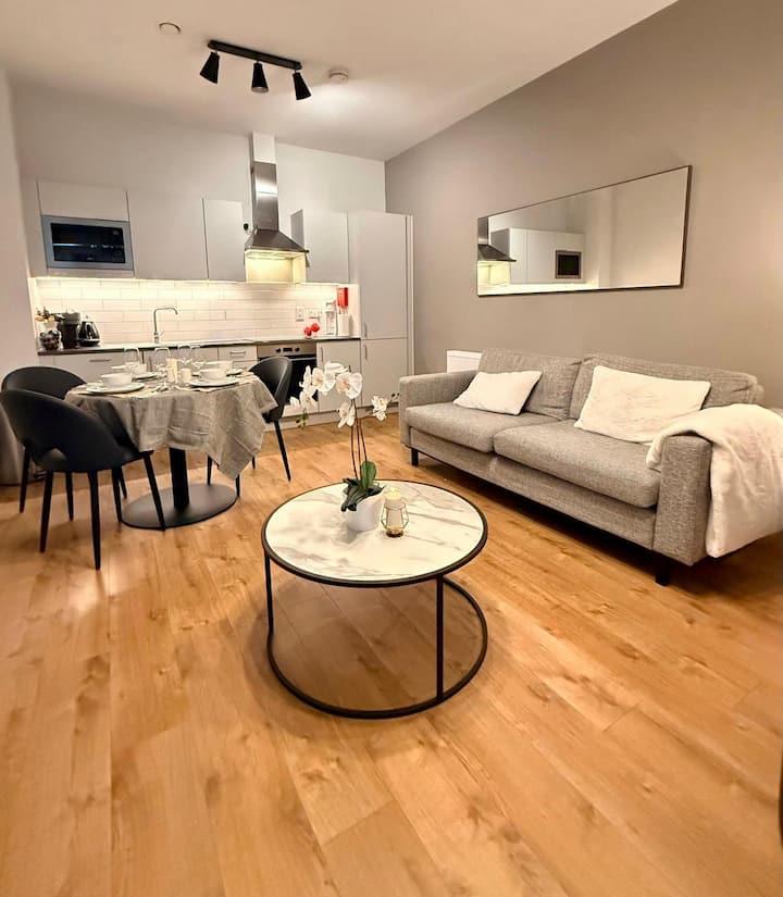 Luxury Dublin Getaway – Entire Apt + Parking - Dublín