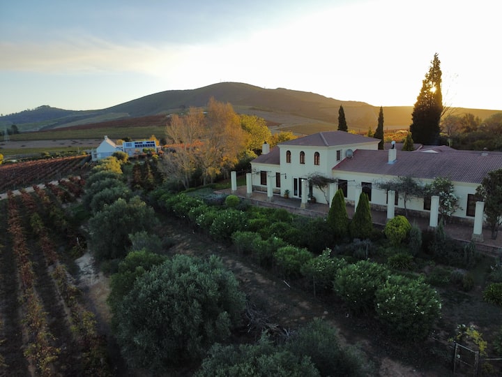 House Amongst The Vineyards - Stellenbosch