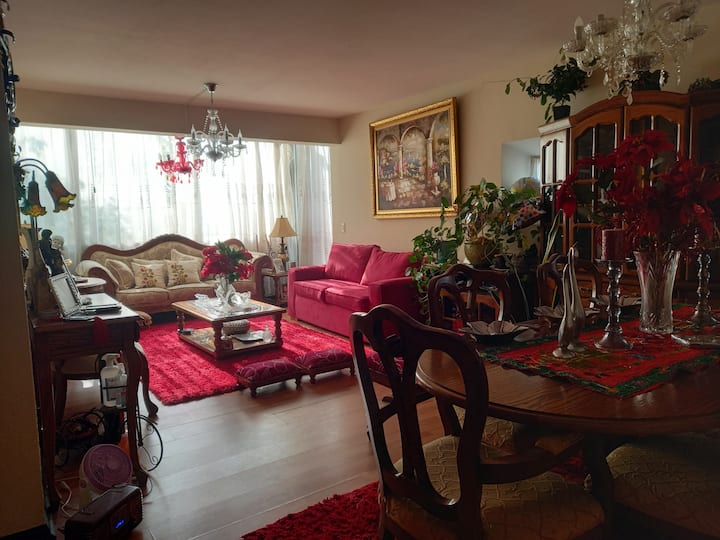 Cómodo Y Central Departamento - Talca