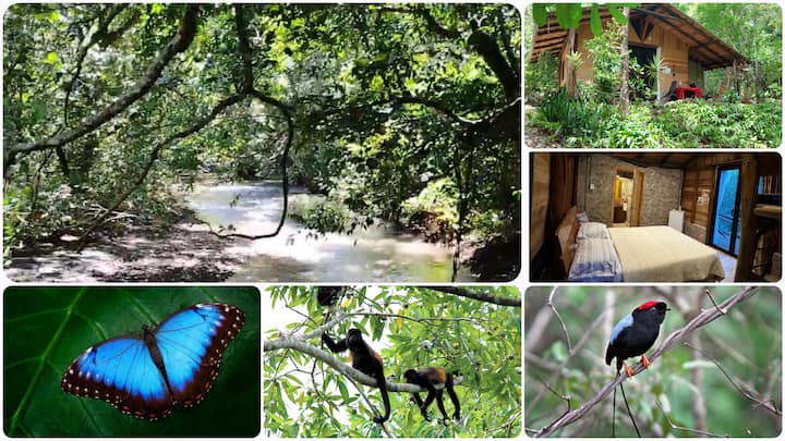 Chalet En La Selva - Nicoya