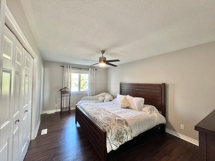 Big Bright House - Sarnia