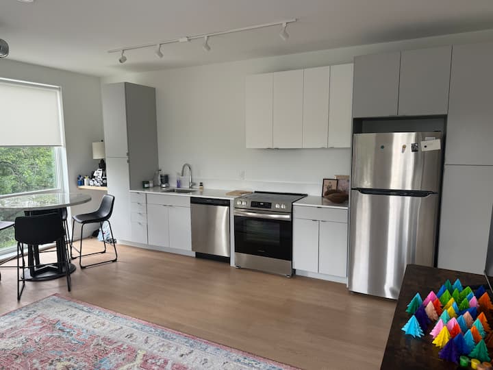 High End One Bedroom Apartment - Minneapolis