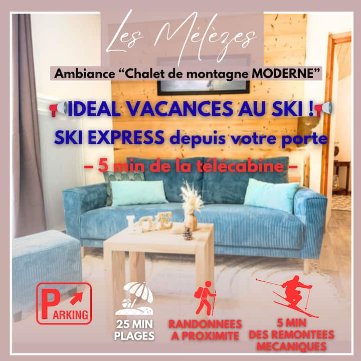 Les Melèzes -Idéal Vacances Au Ski-pied Des Pistes - La Chapelle-d'Abondance