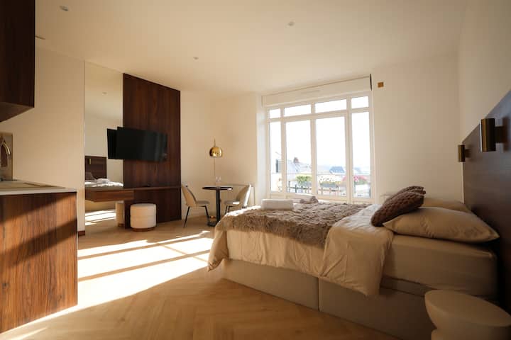 Résidence Du Lion - Studio Luxe Avec Balcon - Belfort