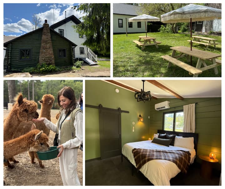 30 Ppl - Alpaca Ranch - Downtown Wisconsin Dells - Wisconsin Dells, WI