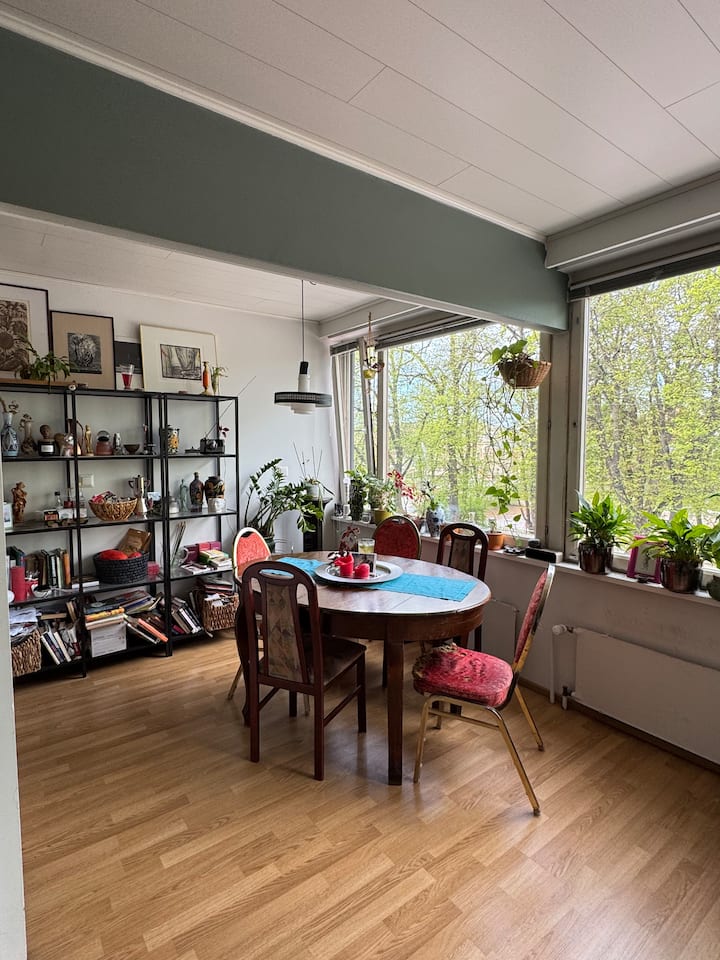 Iso 2h+k, Aurajoki-näkymällä - Turku